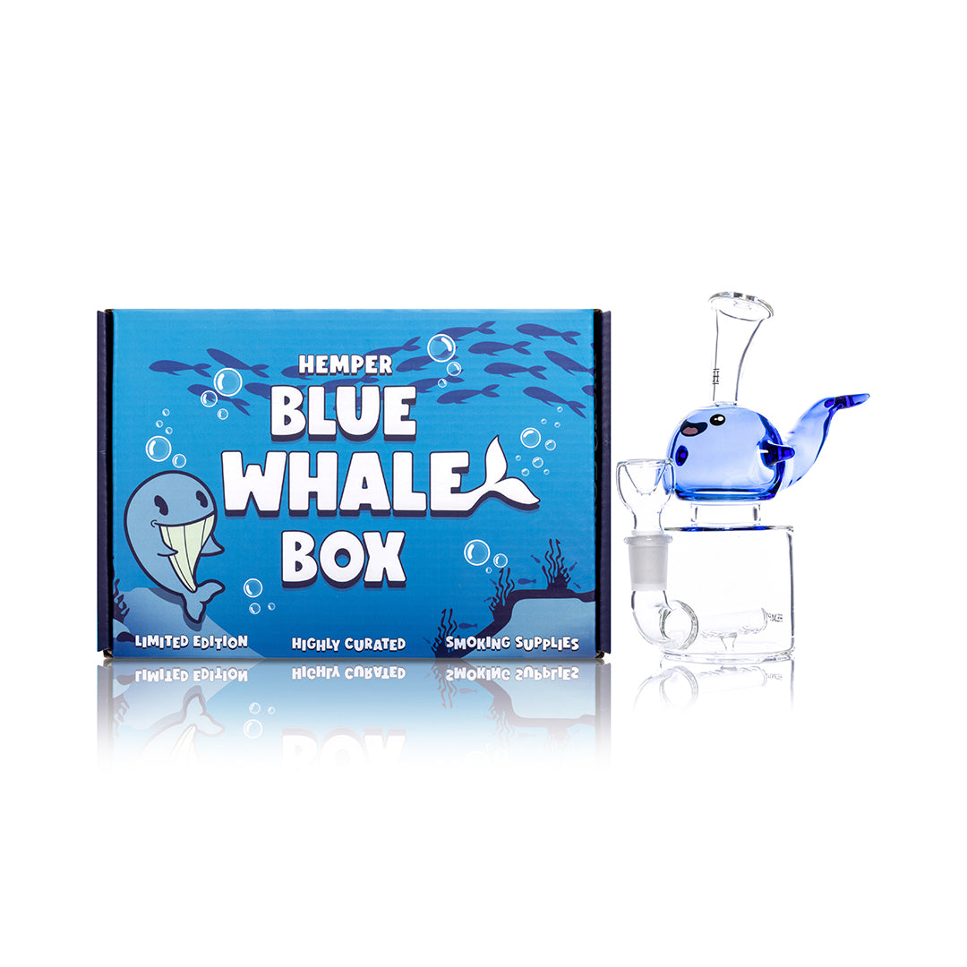 HEMPER- Blue Whale Bong 6.5" — Hara Brands